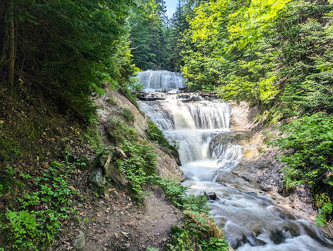 Sable Falls steps down through the forest like a natural staircase, each tier creating its own miniature ecosystem of mist and moss.