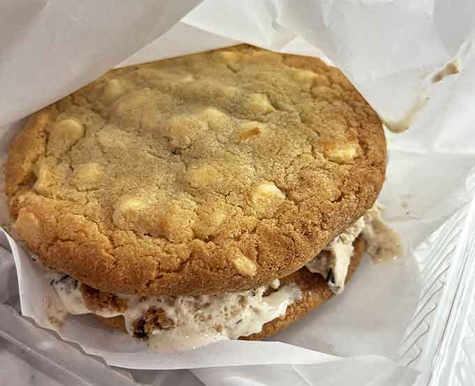 Two cookies that found their life purpose as the perfect vehicle for ice cream &ndash; a handheld miracle of engineering.