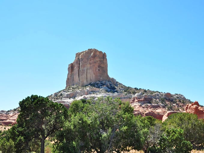 Desert vegetation clings tenaciously to life along the roadside, proving that determination and adaptation can thrive in even the harshest conditions.