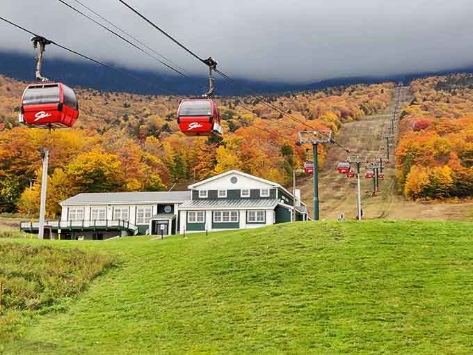 Those red gondolas floating over autumn forests are your ticket to views that'll make your camera roll very happy.