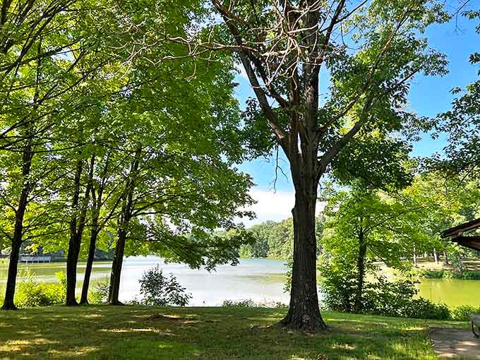 Summer days by the water where the biggest decision is whether to swim, fish, or just sit and soak in all this natural beauty.