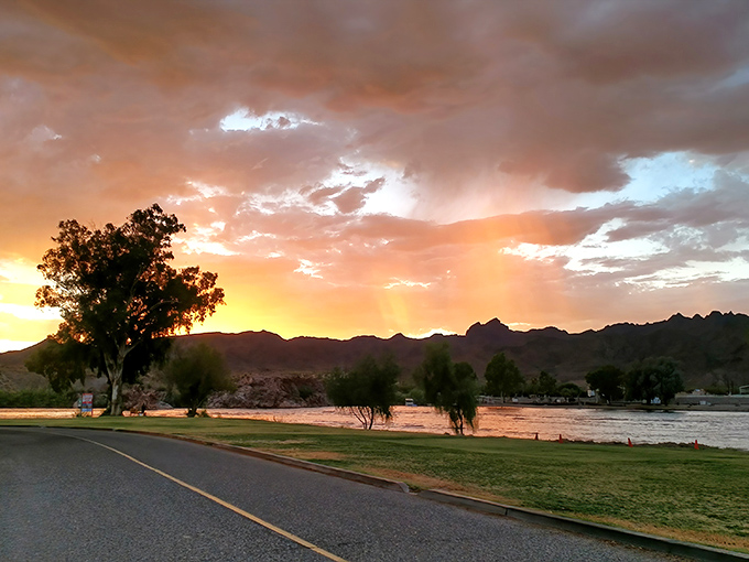 Mother Nature's nightly light show transforms the Colorado River into a ribbon of gold, silhouetting trees against a painter's palette sky.