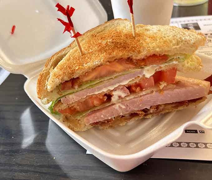 Triple-decker turkey club architecture at its finest, where bacon, lettuce, and tomato create a sandwich skyscraper worth the messy climb.