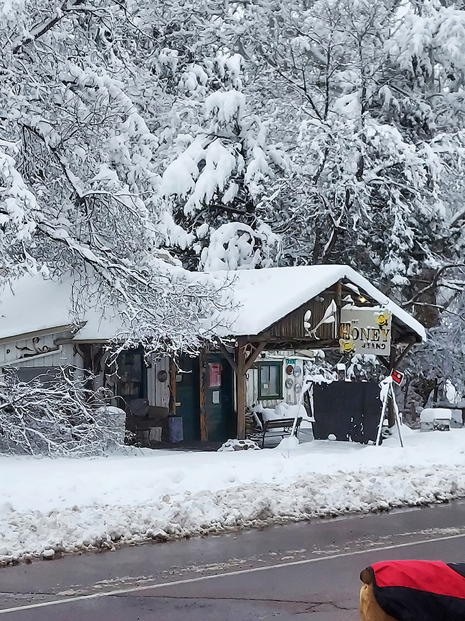 The Honey Stand transforms into a winter wonderland, proving Pine's charm extends well beyond the summer escape season.