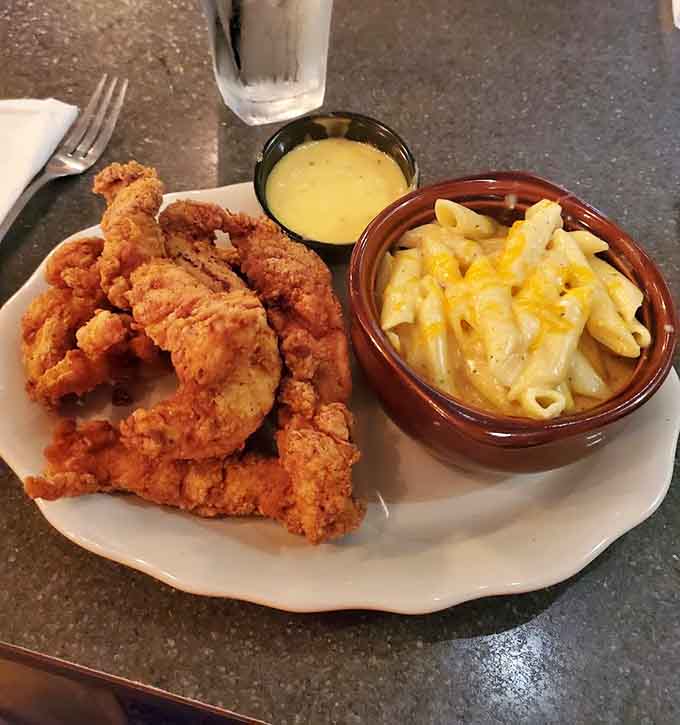 Chicken tenders that adults order without shame, crispy and golden with mac and cheese that could convert any skeptic.