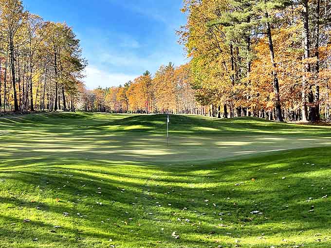 TimberStone Golf Course challenges players with gorgeous holes that make you forget you're supposed to be keeping score anyway.