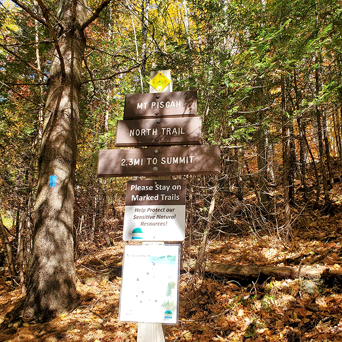 "2.3 miles to summit" &ndash; four words that simultaneously challenge and promise the reward waiting at Mount Pisgah's peak.