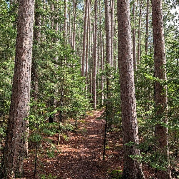 Autumn's paintbrush turns Van Riper into a masterpiece of color, with the lake serving as nature's perfect mirror.