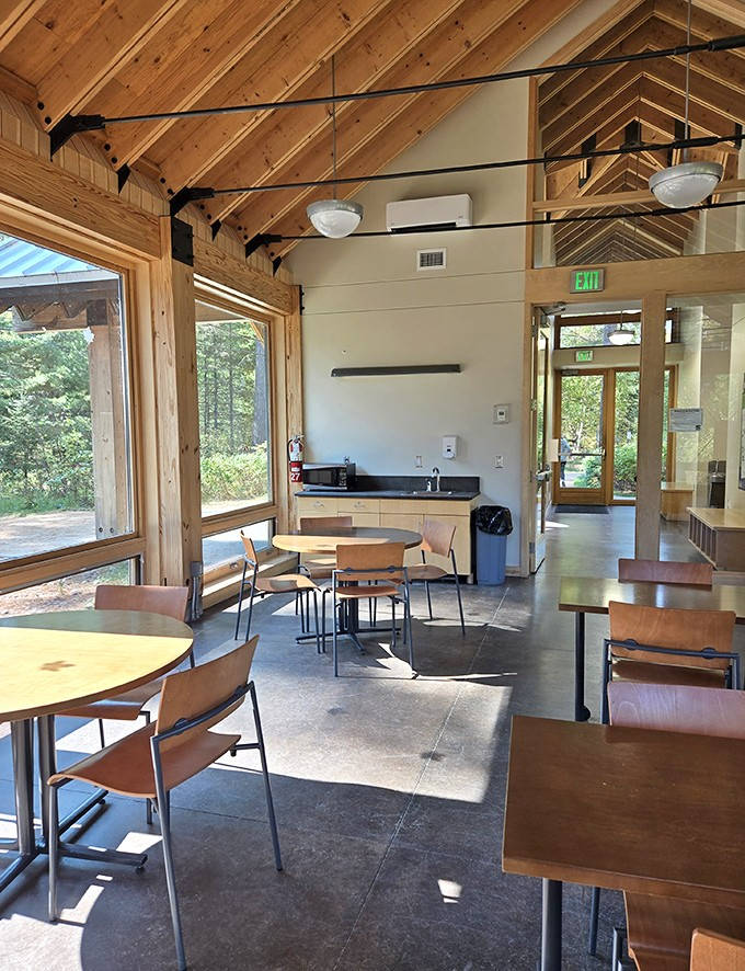 The visitor center blends seamlessly into its surroundings, offering modern comforts without spoiling the wilderness vibe.