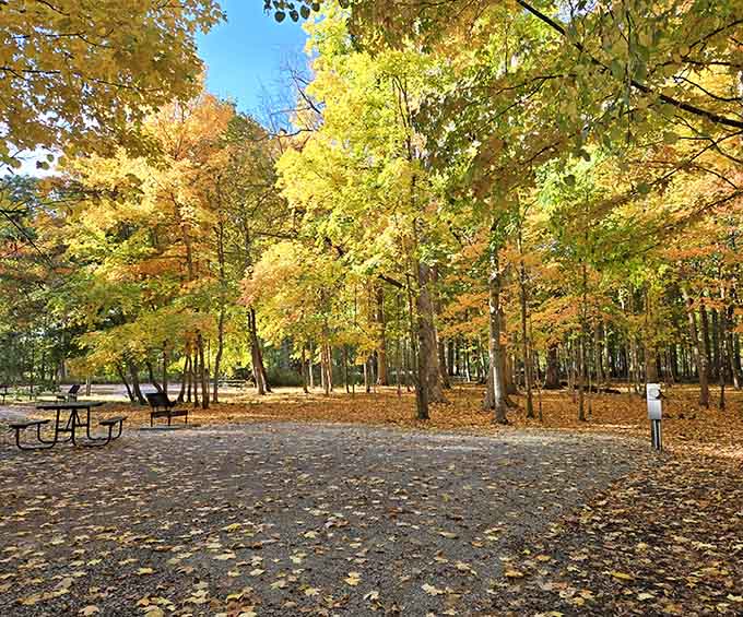 The Grove's modern tavern atmosphere welcomes everyone from first dates to family dinners without a hint of stuffiness.