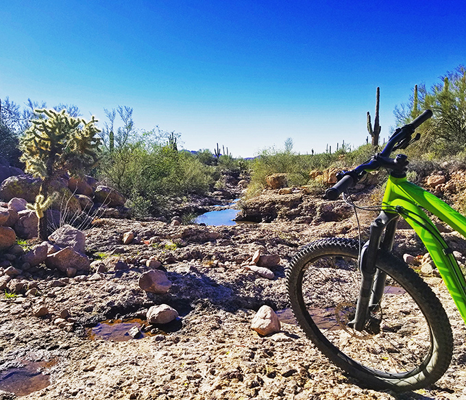 Even mountain bikes need a water break. This desert oasis appears like a mirage after a dusty ride through saguaro country.