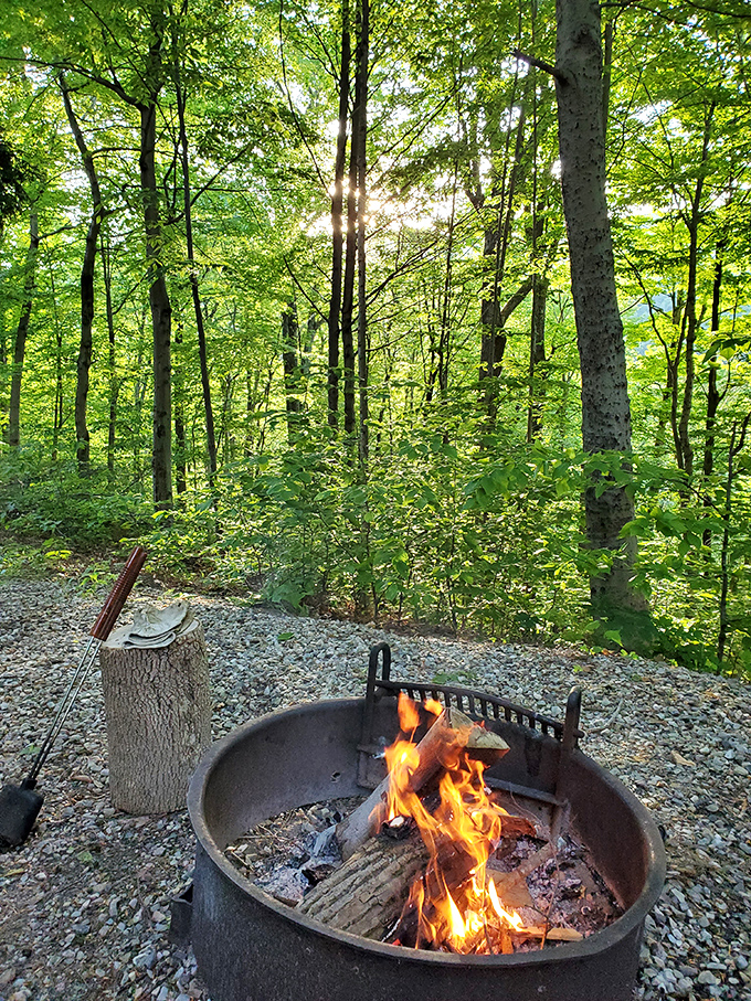 Campfire rings waiting patiently for marshmallows to be sacrificed in the noble pursuit of s'mores perfection and sticky fingers.