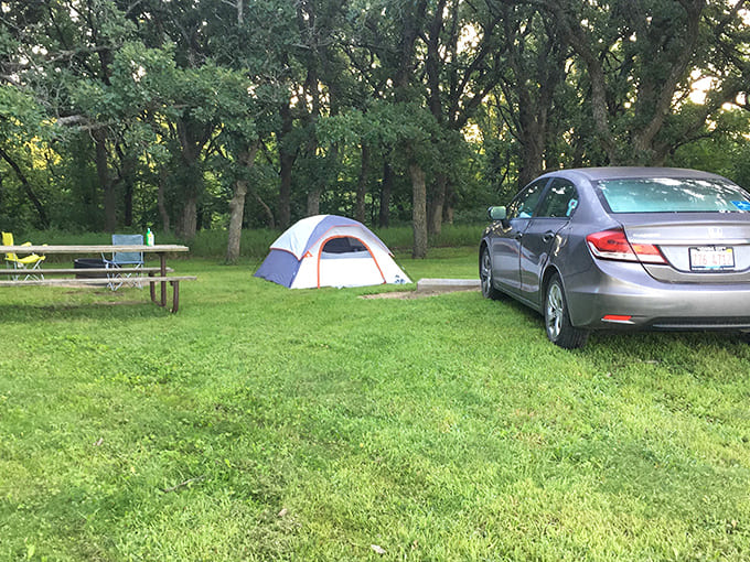 Camping here means waking to birdsong instead of car alarms, with just enough amenities to keep civilization's comforts within reach.