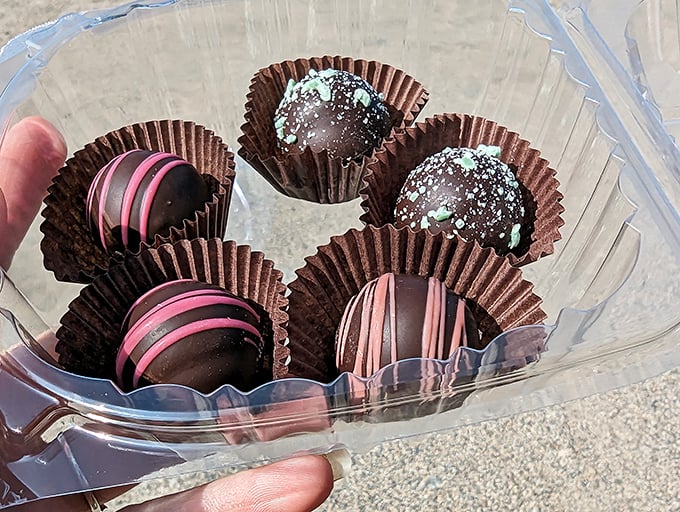 Handcrafted chocolate truffles with blueberry centers offer an elegant twist on Maine's favorite fruit, proving berries and chocolate are a match made in culinary heaven.