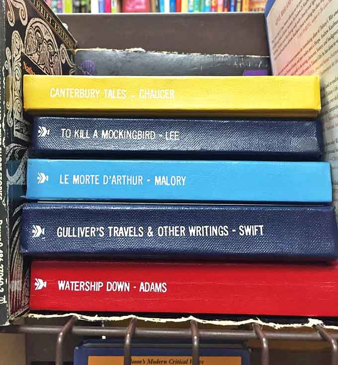 A collection of beautifully bound classics reminds us why some stories have endured for centuries, waiting for new readers.