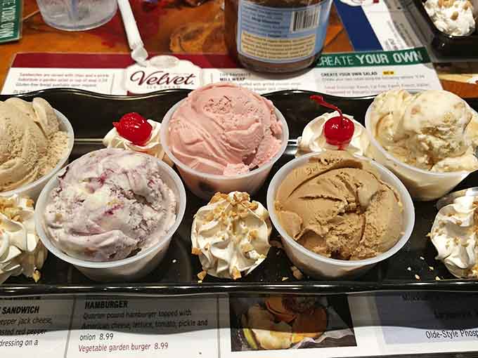 A sampler of Velvet's finest flavors topped with whipped cream &ndash; like a flavor passport stamped with delicious memories.