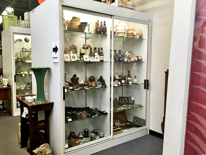 This glass cabinet of curiosities showcases miniature treasures, each small enough for your palm but big enough to capture your heart.