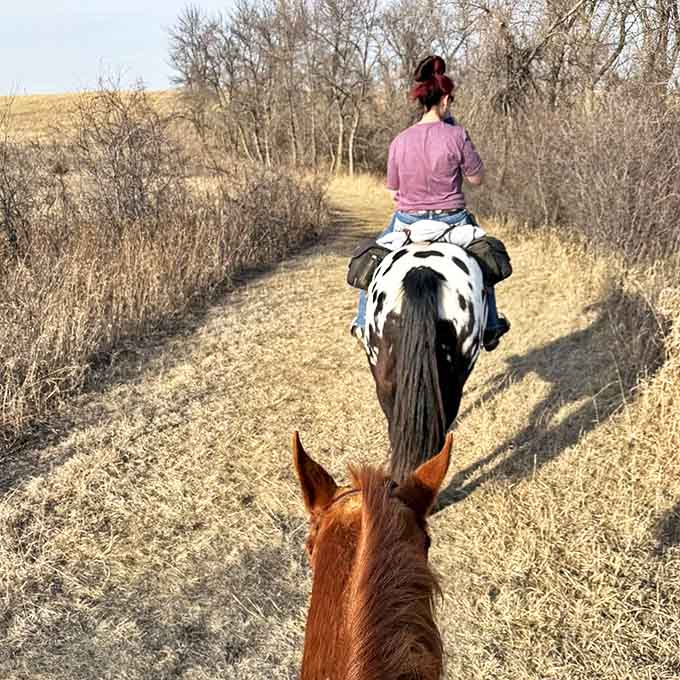 Horseback riders explore trails from a higher vantage point, experiencing the park's beauty at a pace from simpler times.