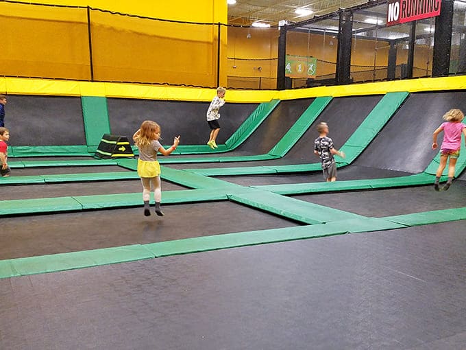 Young explorers defy gravity with the effortless energy only children possess, while parents secretly envy their fearlessness and seemingly indestructible knees.