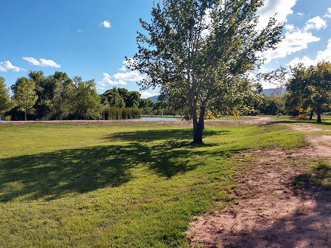 Emerald grass creates a perfect picnic spot where visitors can spread blankets beneath shade trees and savor the mild fall temperatures.