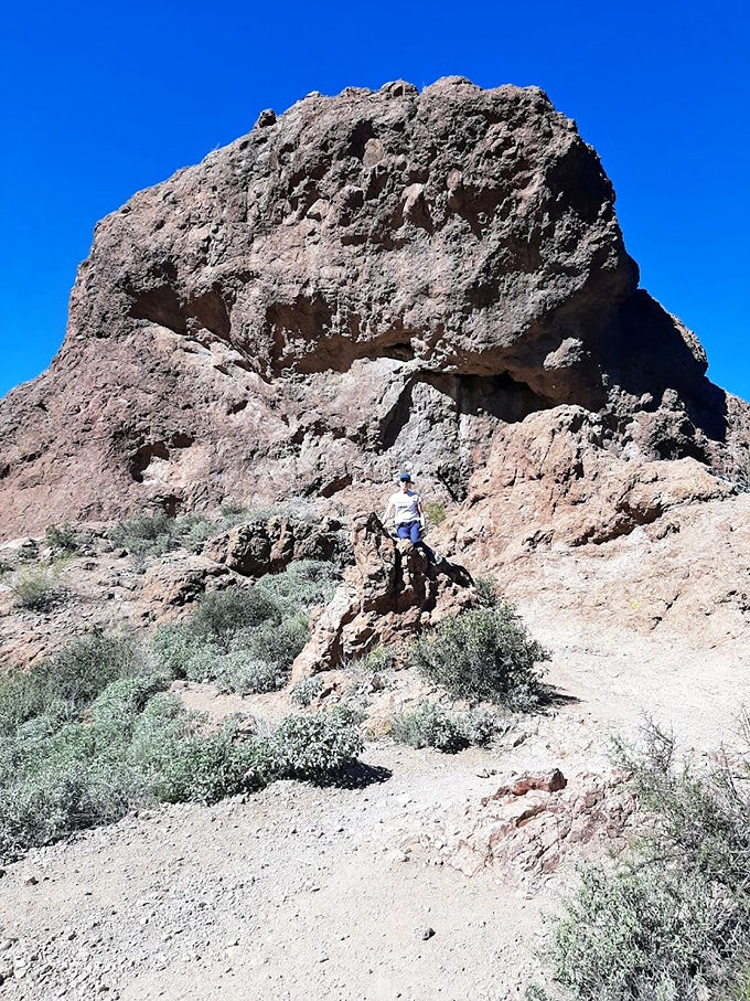 Nature's sculpture garden &ndash; these massive formations weren't carved by human hands but by millions of years of persistence.