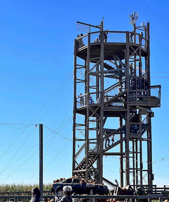 Climbing the observation tower: where "I just need five minutes of peace" meets "wow, that view is worth the stairs."
