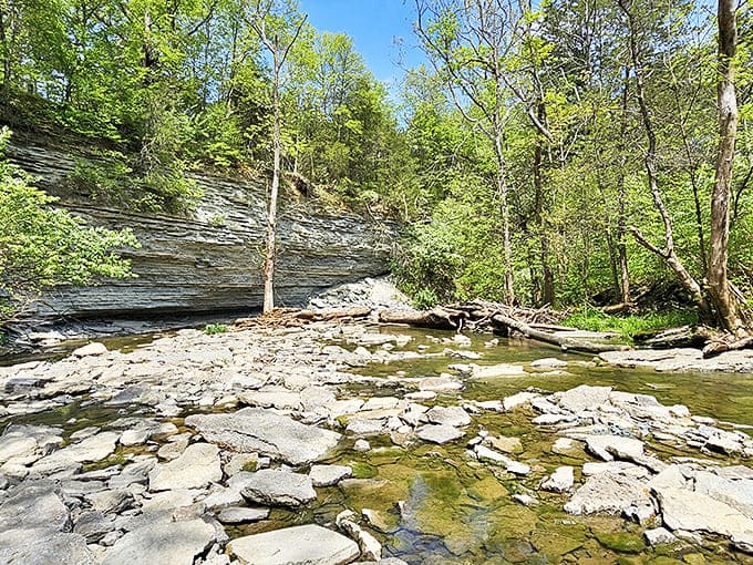 As the sun sets, the lighthouse is wrapped in a warm, golden glow&mdash;a rare and enchanting sight that photographers long to seize.