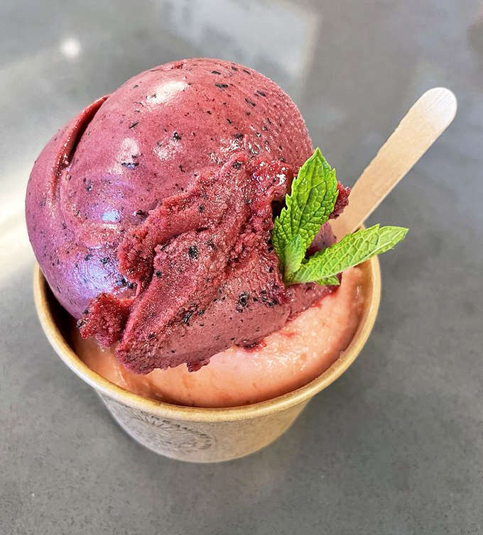 Berry sorbet that practically vibrates with color and flavor, garnished with fresh mint &ndash; as beautiful to look at as it is refreshing to eat.