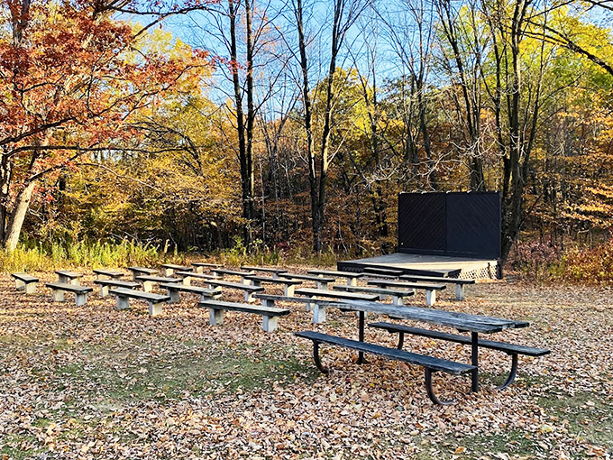 The forest amphitheater awaits its audience &ndash; the only admission fee is your willingness to sit still and listen to the woods.