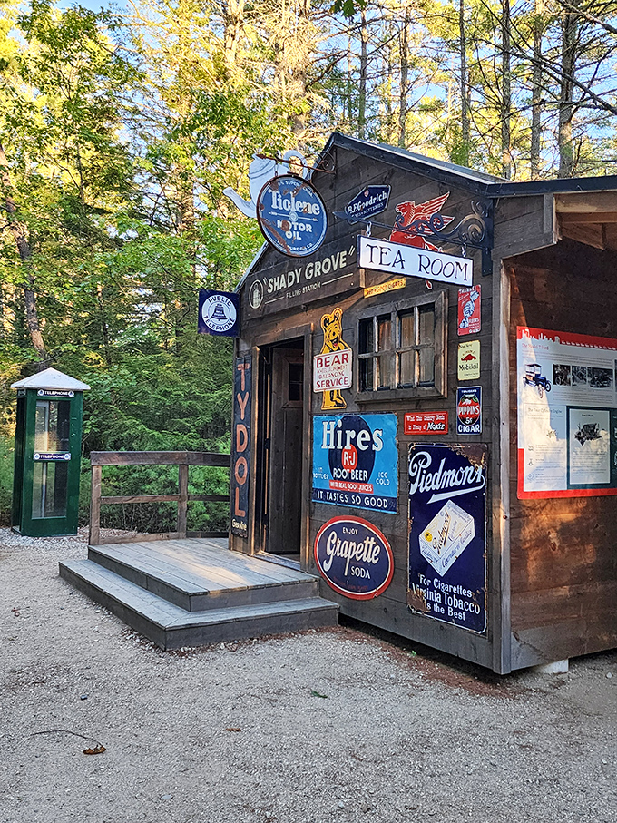 This charming tea room, festooned with vintage signs, offers a delightful time warp where visitors can refresh after their desert expedition.