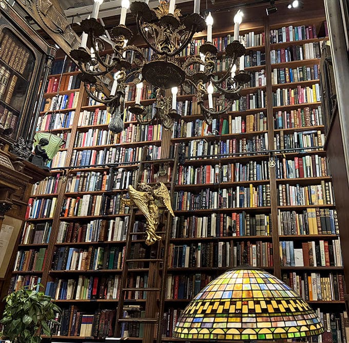 Chandeliers dangle between towering walls of books, creating dramatic lighting that transforms browsing into a theatrical experience.