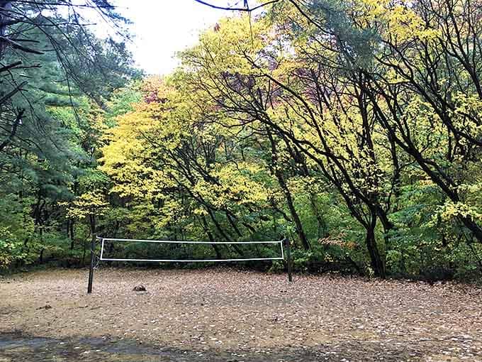 Beach volleyball awaits beneath trees dressed in autumn gold – game point is always more dramatic against a backdrop this beautiful.