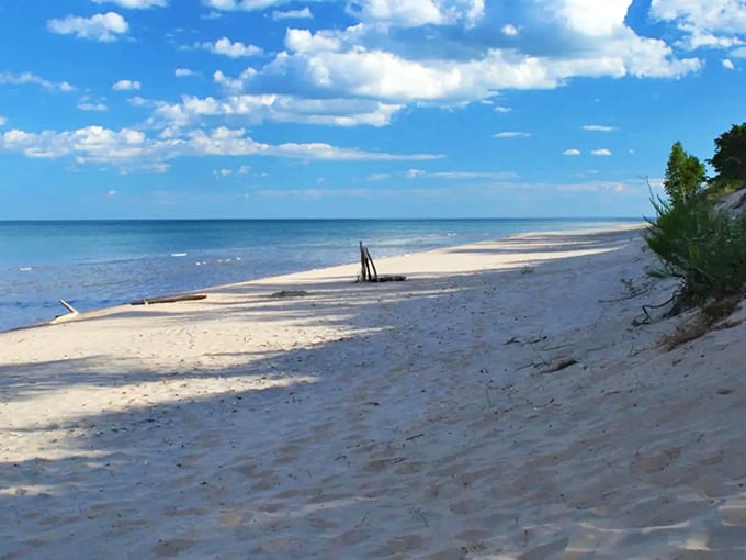 The untouched shoreline at Point Beach State Forest offers a glimpse of what Wisconsin's coast looked like before development.
