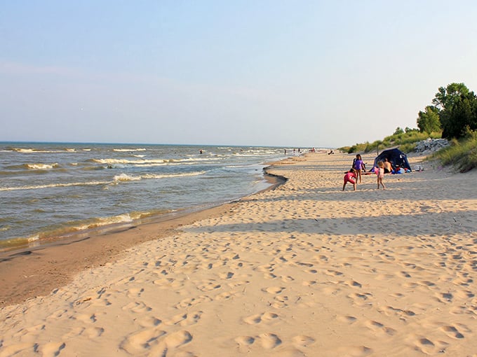Point Beach State Forest combines soft sand with family-friendly amenities, making it a perfect destination for beachgoers of all ages.