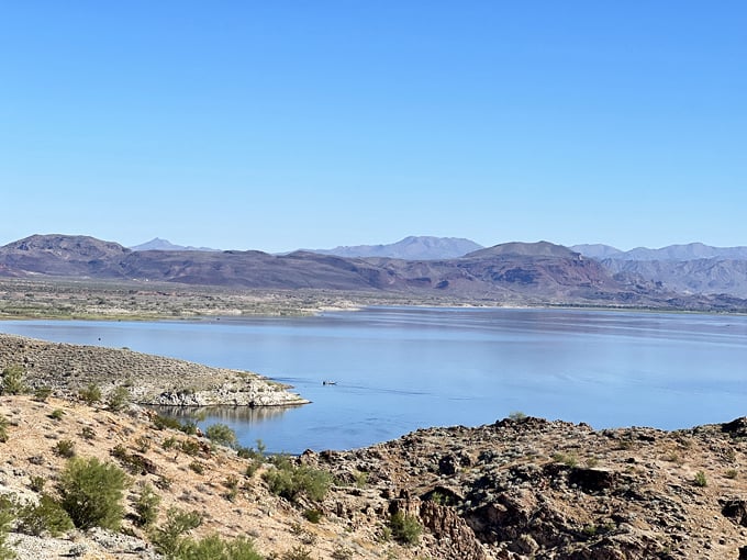 alamo lake state park 2