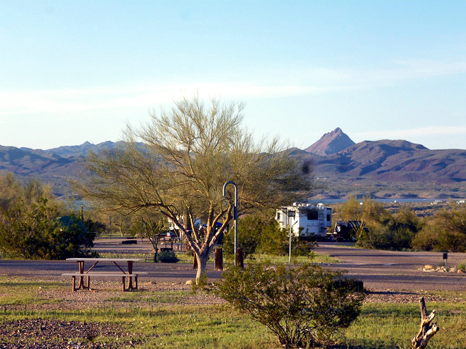 alamo lake state park 3