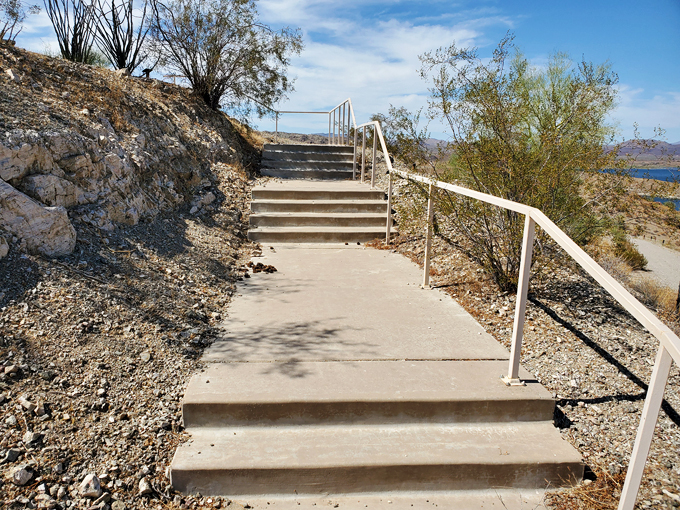 alamo lake state park 4