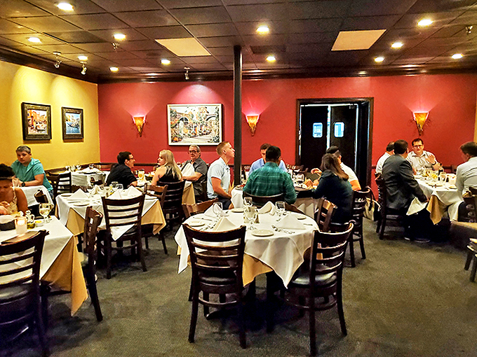 amelia's italian cuisine 8