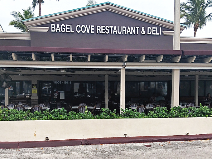 bagel cove restaurant & deli 1