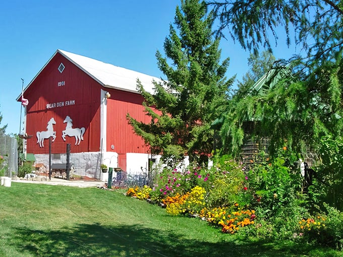 bear den zoo & petting farm 1