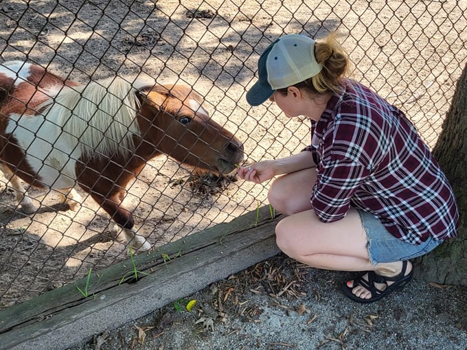 bear den zoo & petting farm 3