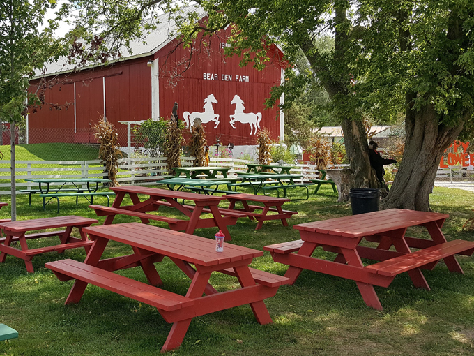 bear den zoo & petting farm 7