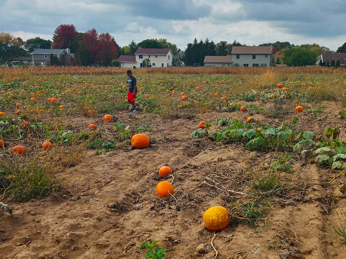 bear den zoo & petting farm 8