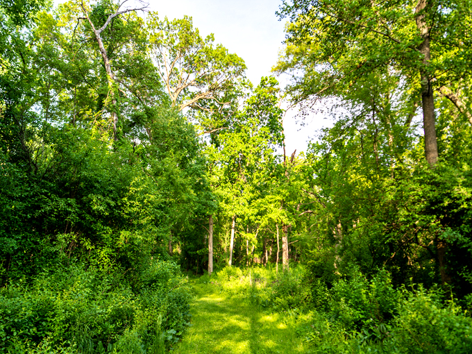big foot beach state park 4