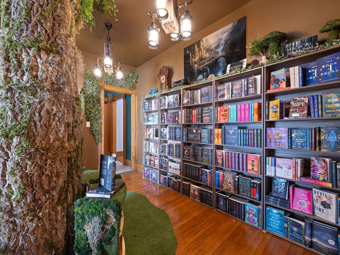 black cat books & oddities 2