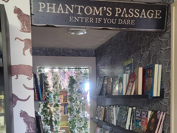 black cat books & oddities 4