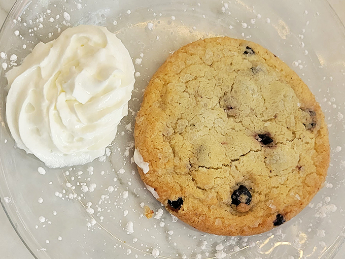 brewster's italian cafe 5