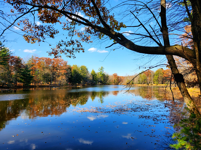 brunet island state park 7