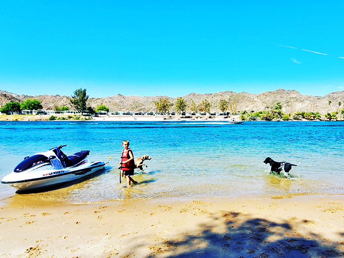 buckskin mountain state park 2