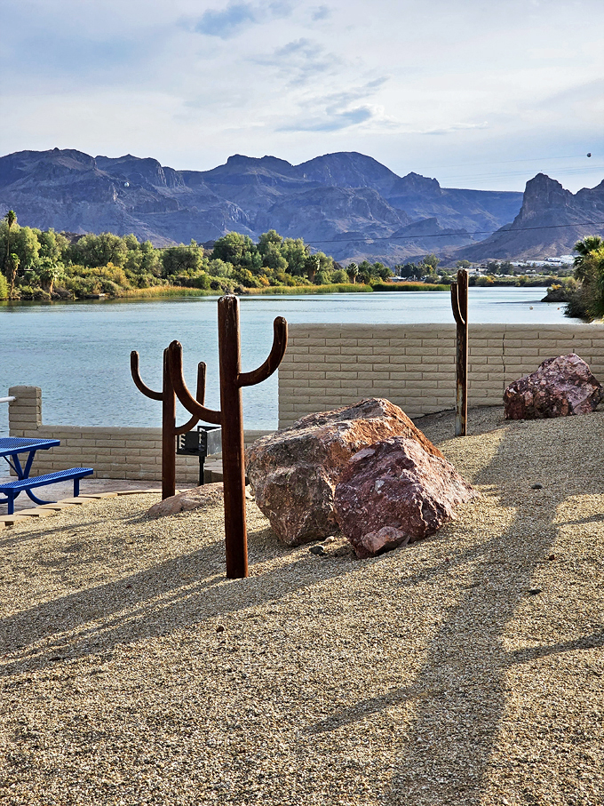 buckskin mountain state park 6